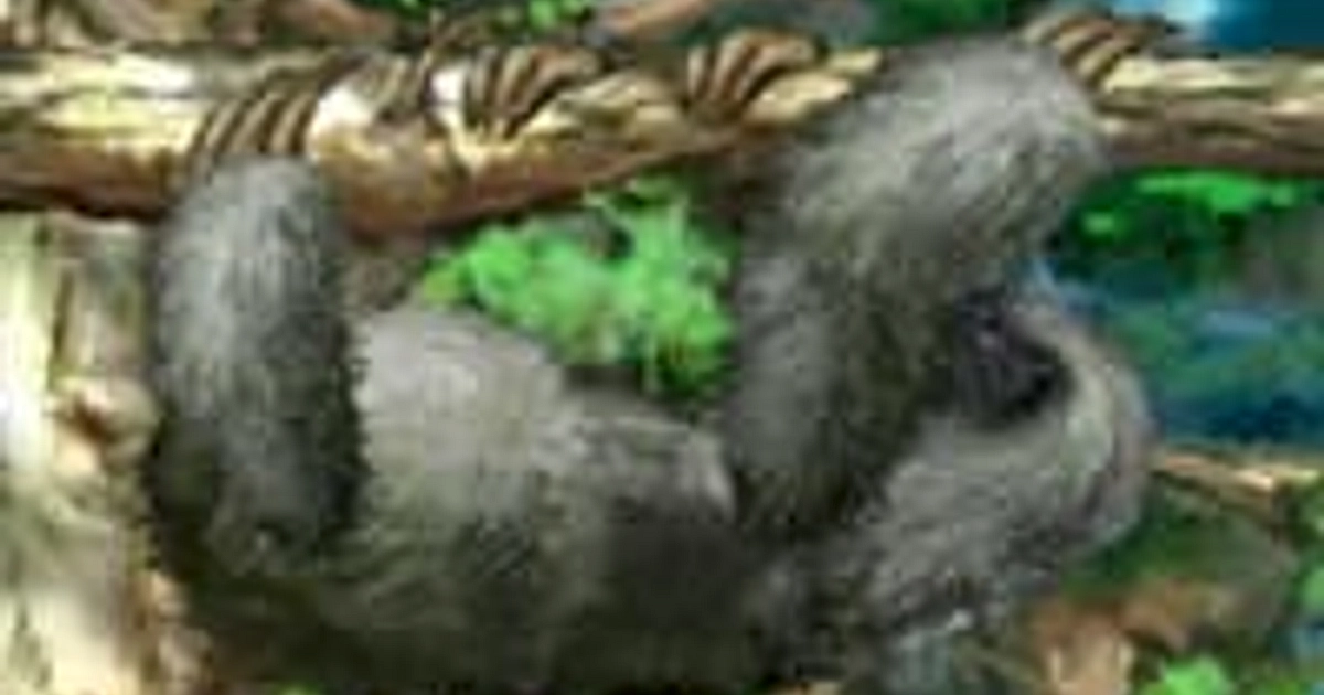 Super Sloth - Online Game - Play for Free | Keygames.com